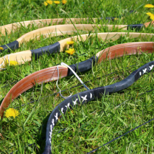 3 Best Compound Bows for Beginners - Midlife Archery Gal